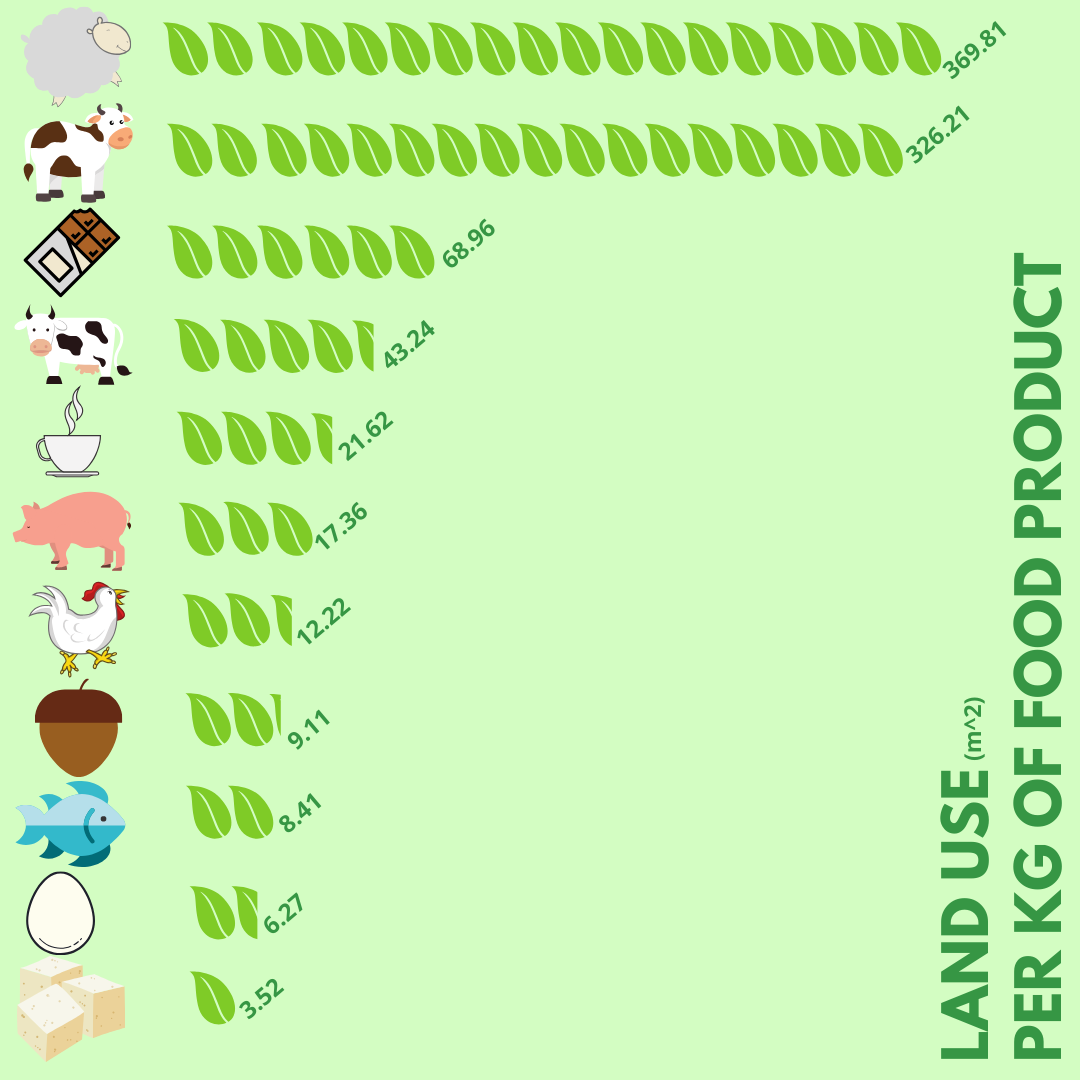 Sustainability and diet: How dietary choices impact your carbon ...