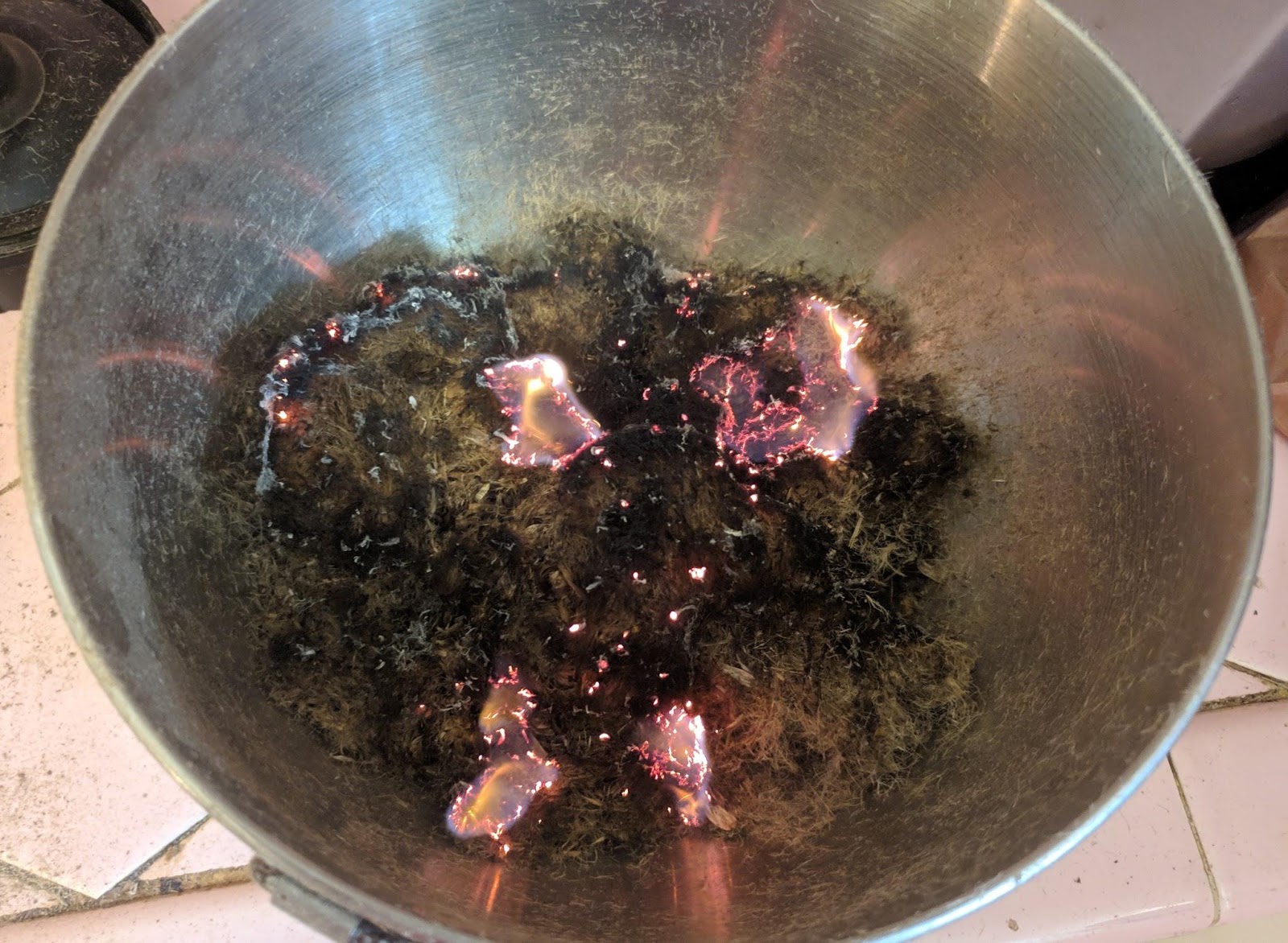 Half-Pint’s new seed library, how-to collect seeds – Campus ...