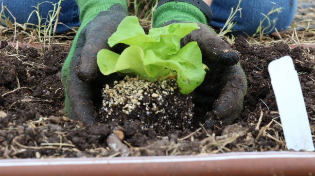 Microfarm – Campus Environmental Center