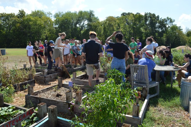 Volunteer at Microfarm – Campus Environmental Center