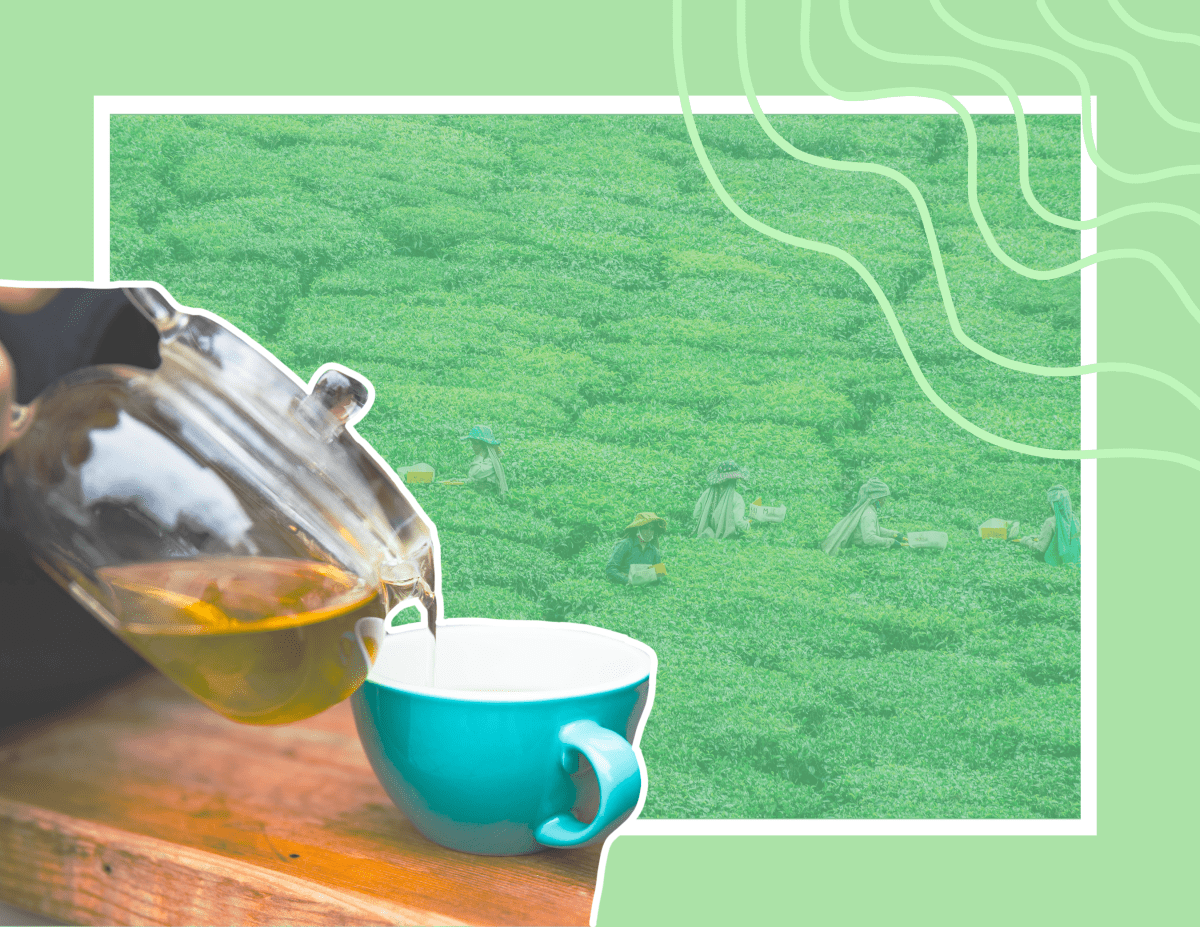 Spilling the Tea about Tea (And How We Can Help Clean It Up) – Campus ...